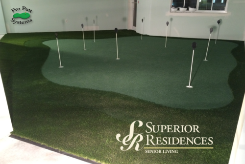 Recent Pro Putt Systems Creations - Pro Putt Systems